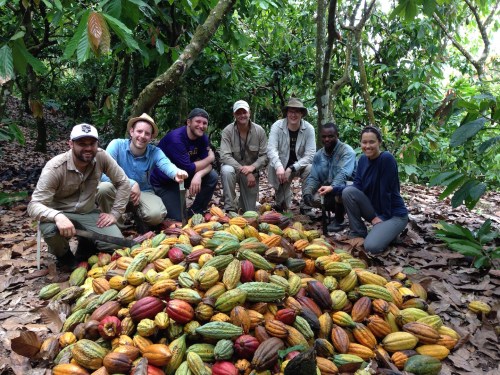 Chocolate 304: Dominican Republic - Dandelion Chocolate